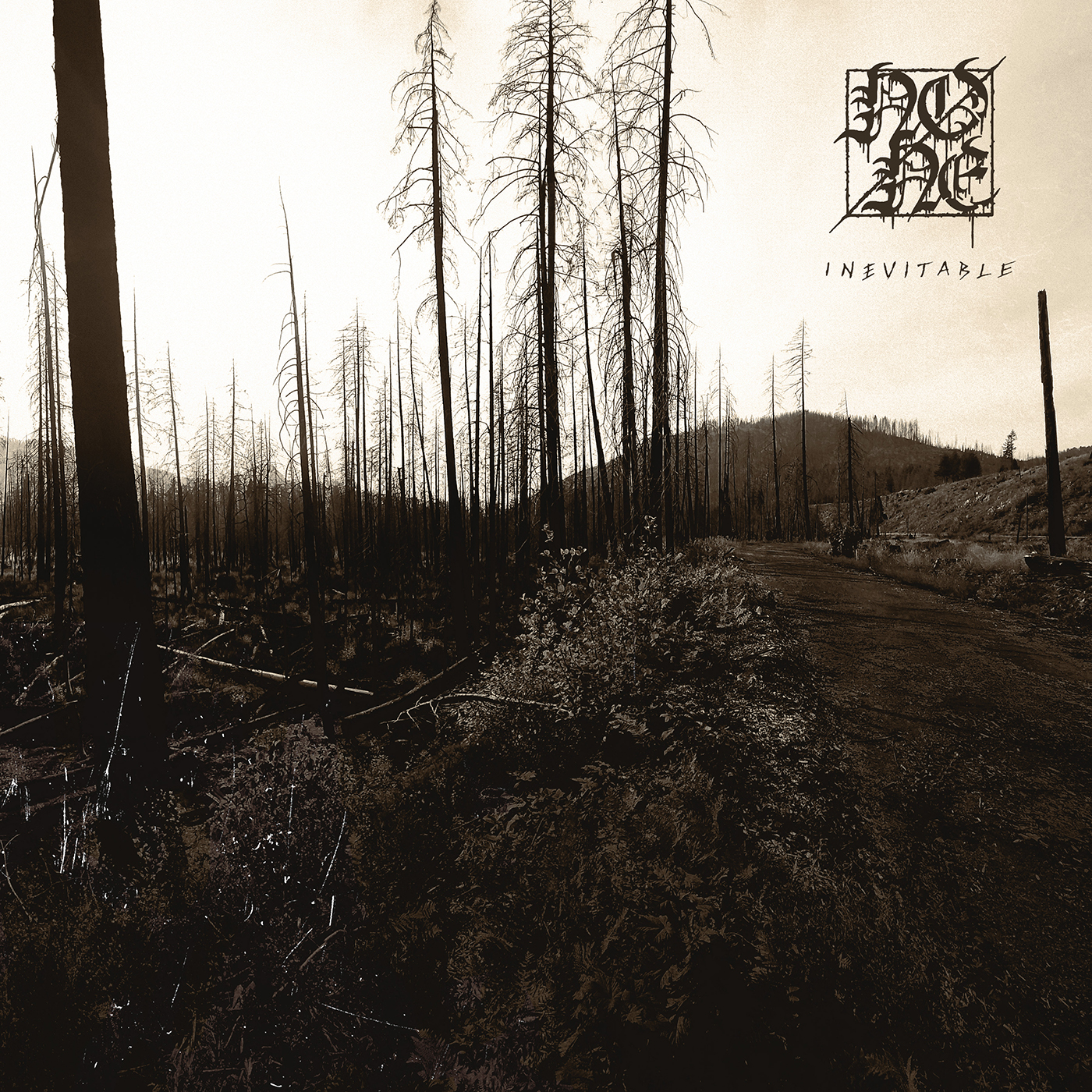 Hypnotic Dirge Records